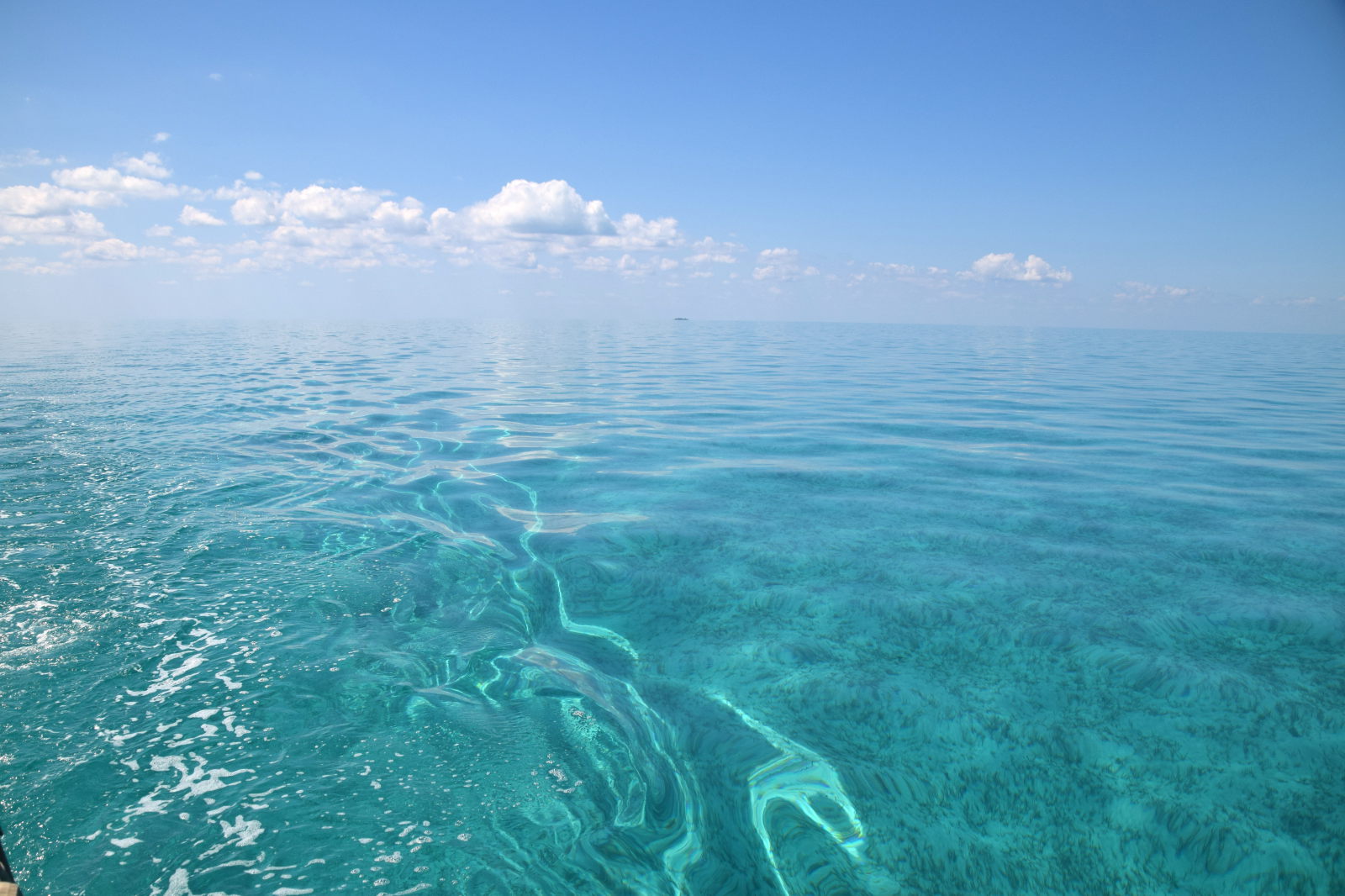 West End to Allans Pensacola: God’s Swimming Pool – Pelagic Explorers