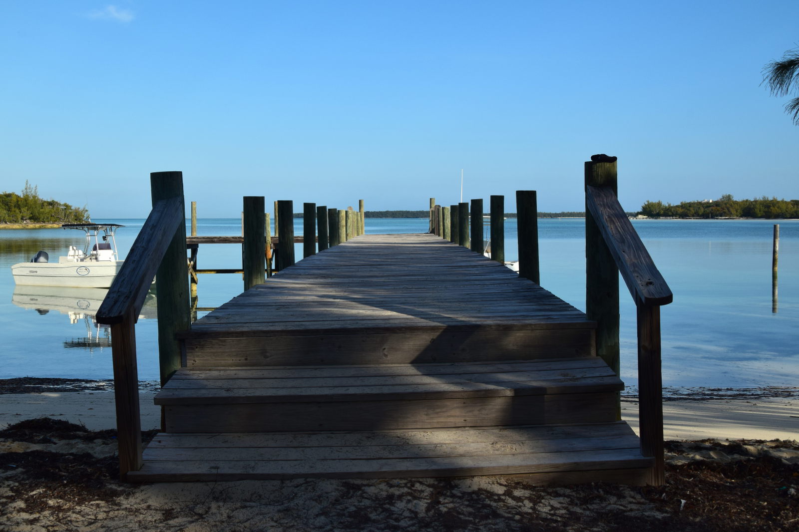 Exploring Green Turtle Cay – Pelagic Explorers