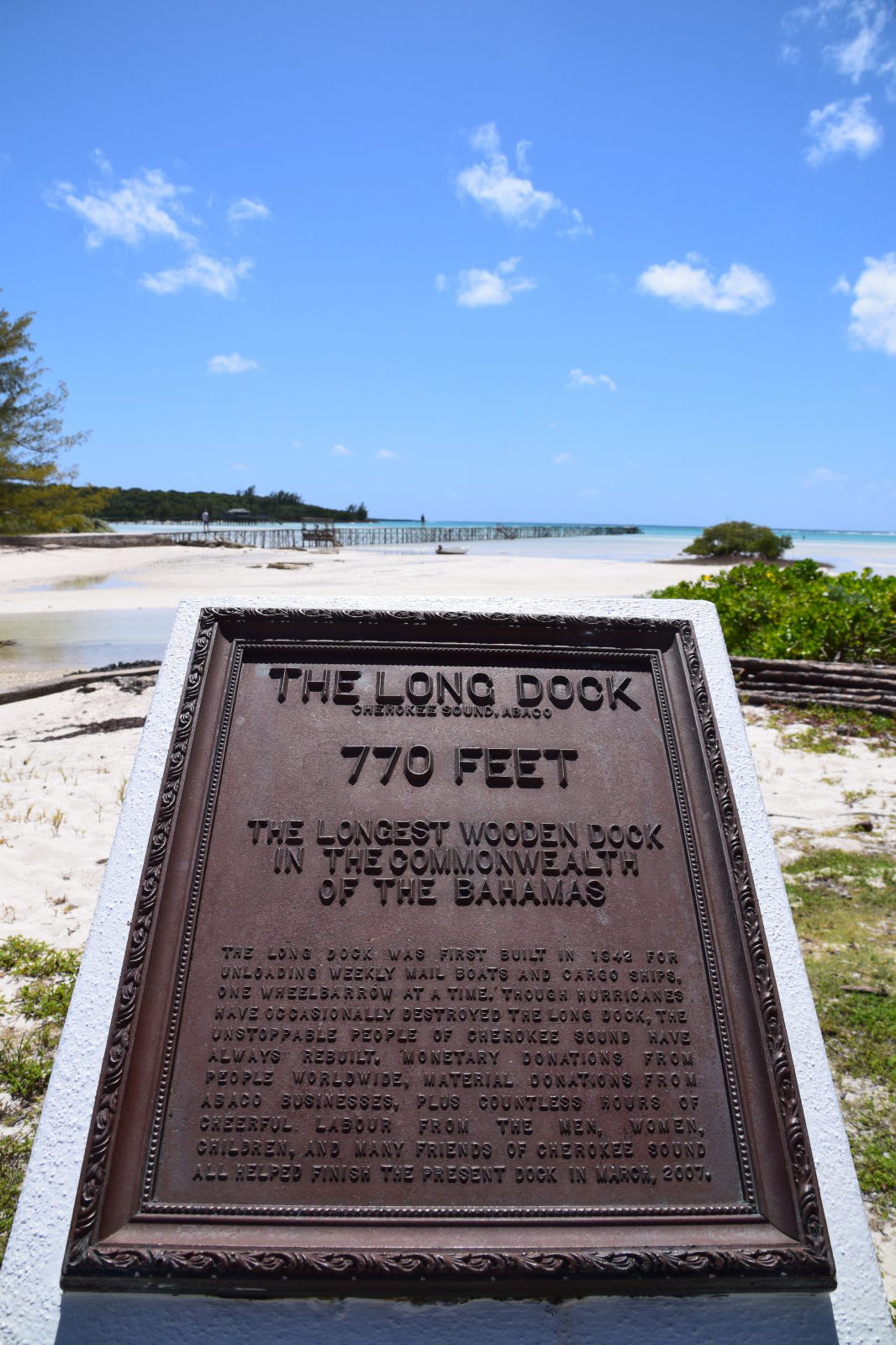 Our Guide to Great Abaco – Pelagic Explorers