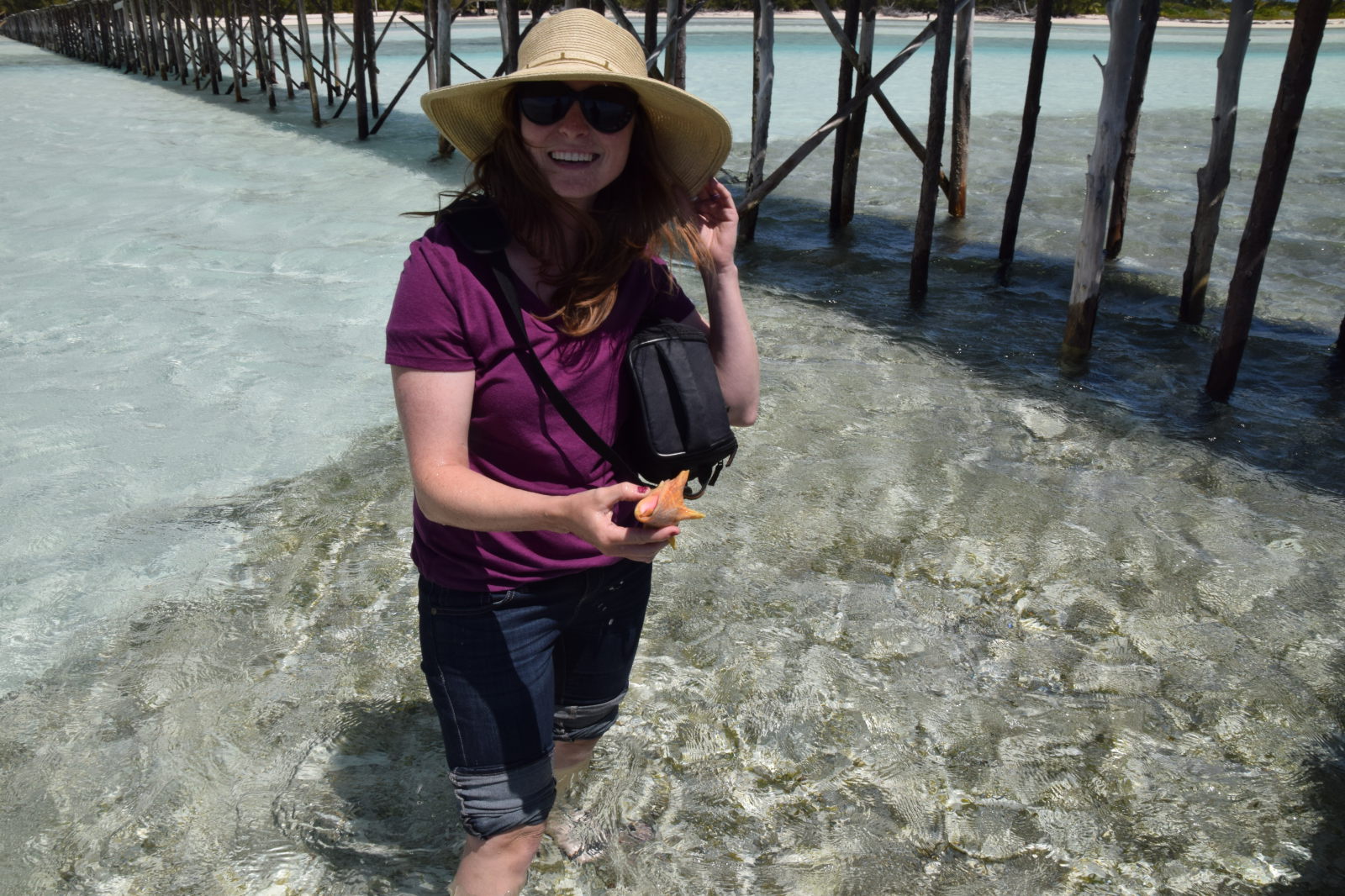 Our Guide to Great Abaco – Pelagic Explorers