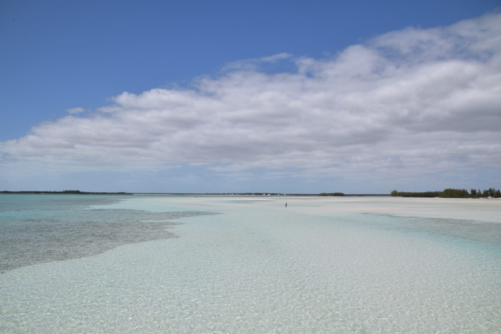 Our Guide to Great Abaco – Pelagic Explorers