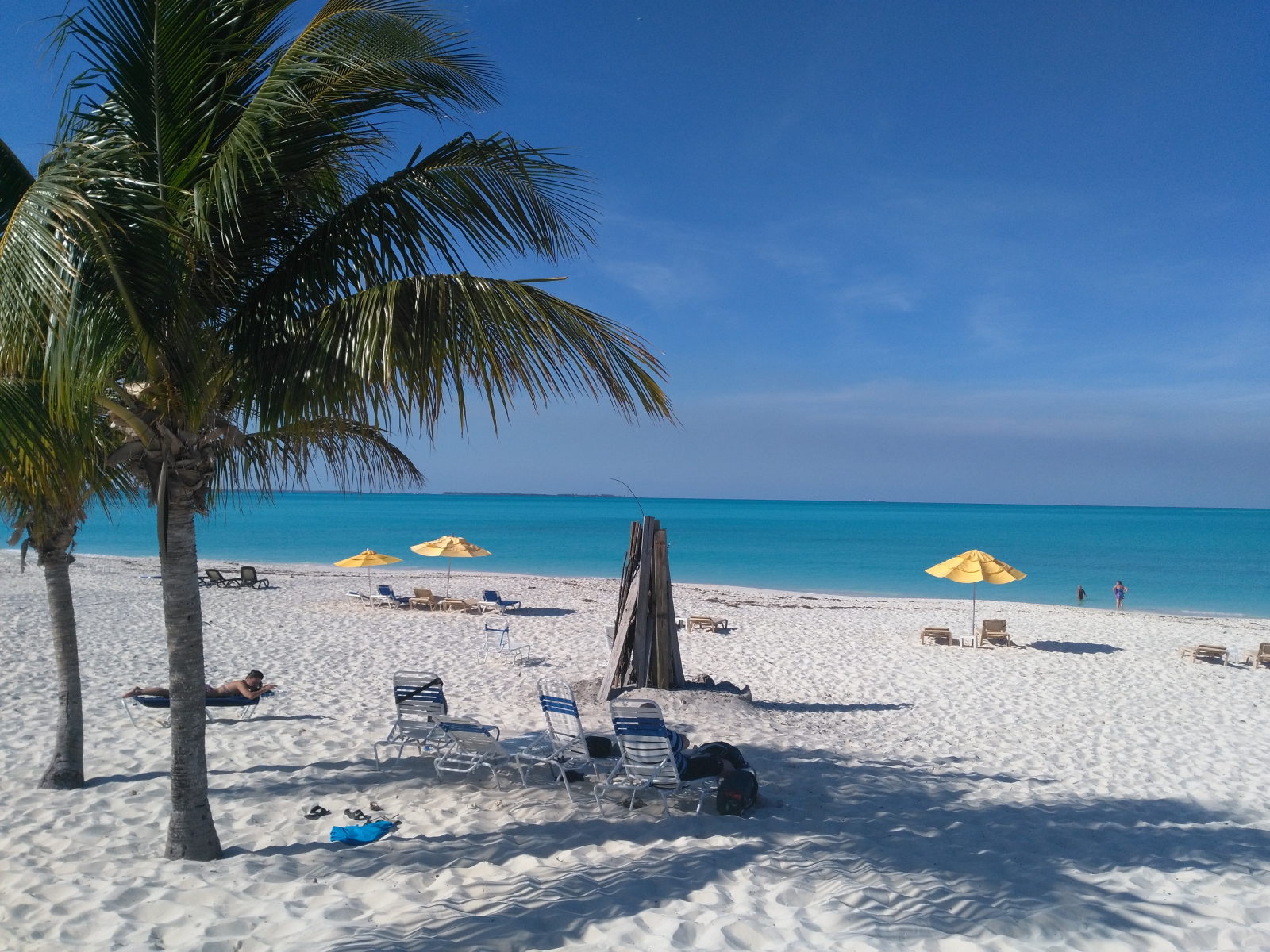 Our Guide to Great Abaco – Pelagic Explorers